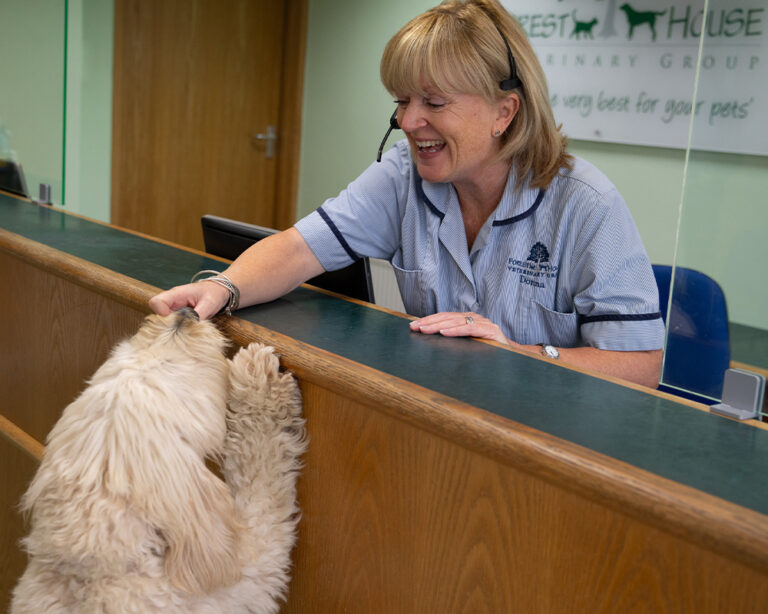 Our Facilities | Forest House Vets