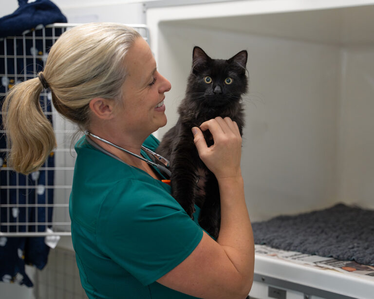 Our Facilities | Forest House Vets