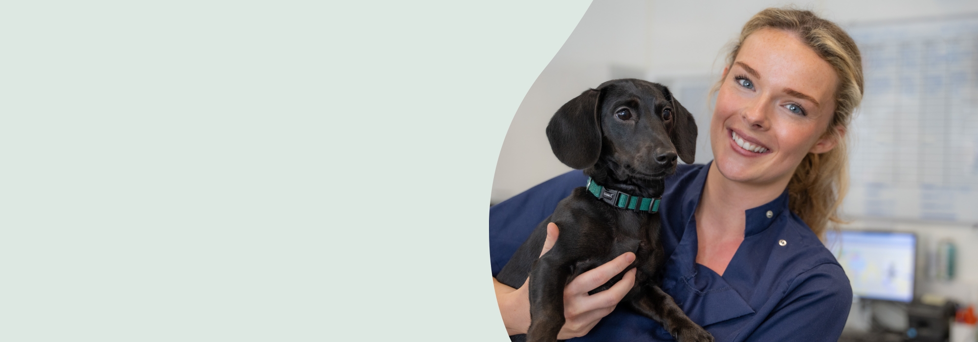 Vets In Windsor, Egham & Ascot | Forest House Vets